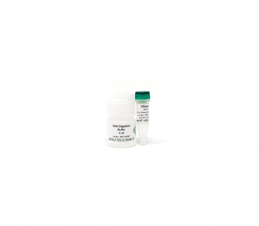 DNase I Set (250 U) w/ DNA Digestion Buffer (4 ml) - Zymo Research